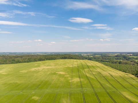 「Genmanipuliert」の画像 - 636 件の Stock 写真、ベクターおよびビデオ | Adobe Stock