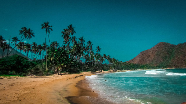 LAS 71 MEJORES IMÁGENES, FOTOS DE ARCHIVO Y VECTORES DE Choroni | Adobe ...