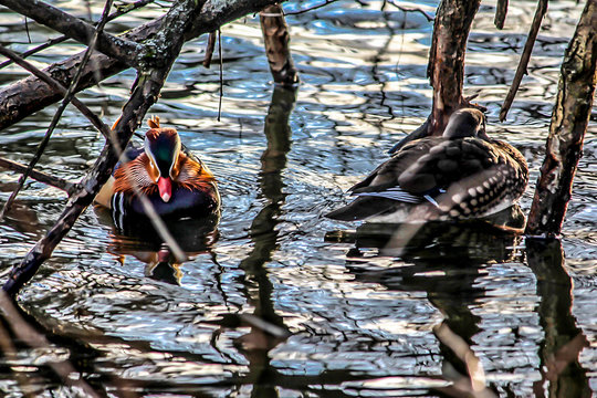 Grabenprofil Bilder – Durchsuchen 358 Archivfotos, Vektorgrafiken und ...