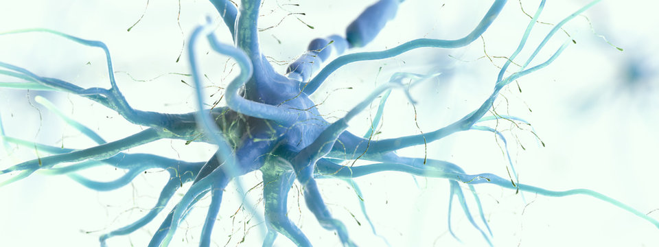 DIE 163,602 BESTEN BILDER, STOCK-FOTOS UND -VEKTORGRAFIKEN ZU „Nervend ...