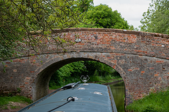 Danson Images – Browse 15 Stock Photos, Vectors, and Video | Adobe Stock