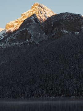 รูปภาพWhyte – เลือกดูภาพถ่ายสต็อก เวกเตอร์ และวิดีโอ249 | Adobe Stock