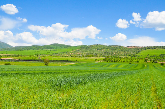 "Unpolluted Nature" Bilder – Durchsuchen 30 Archivfotos, Vektorgrafiken ...