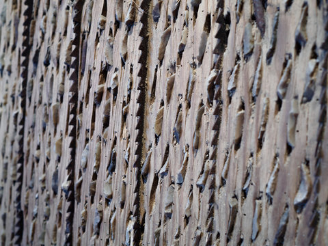 Trillo Images – Browse 571 Stock Photos, Vectors, and Video | Adobe Stock