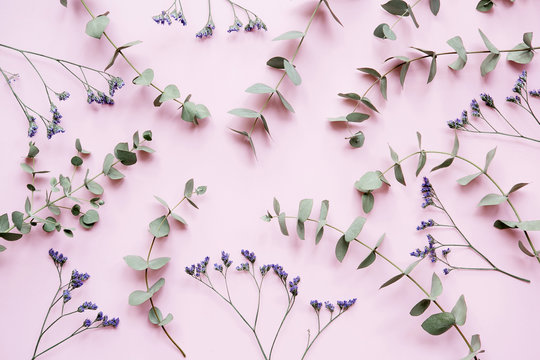 รูปภาพLimonium – เลือกดูภาพถ่ายสต็อก เวกเตอร์ และวิดีโอ5,024 | Adobe Stock