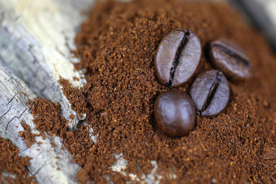 Caryopse Images – Parcourir 21,457 le catalogue de photos, vecteurs et ...