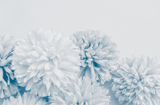 Frostblumen Bilder – Durchsuchen 203,459 Archivfotos, Vektorgrafiken ...