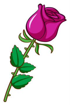 Single Stem Rose Clip Art