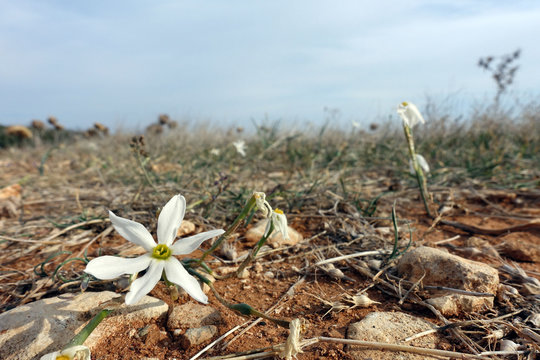 Syn bilder – Bläddra bland 4,342 stockfoton, vektorer och videor ...