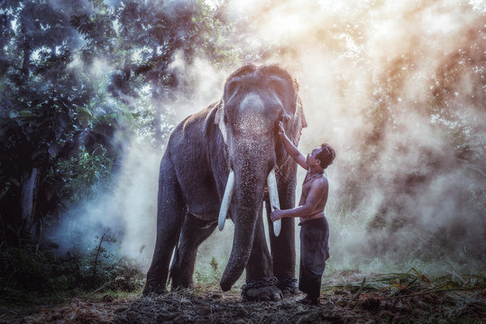 「Mahout」の画像 - 3,230 件の Stock 写真、ベクターおよびビデオ | Adobe Stock