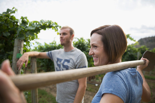 "Winzer Bilder – Durchsuchen 88,648 Archivfotos, Vektorgrafiken und ...