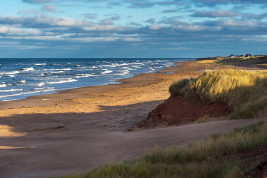 Pei 이미지 – 찾아보기 12,735 스톡 사진, 벡터 및 비디오 | Adobe Stock