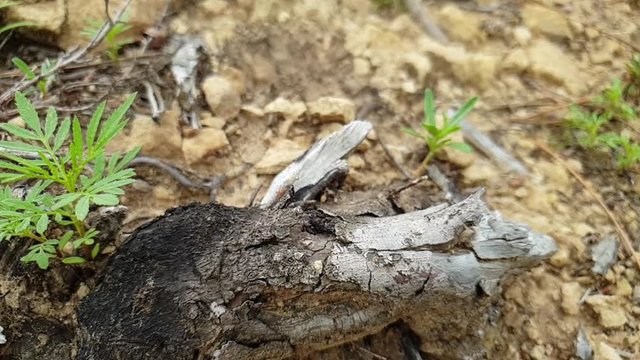 Chloroform Video Footage – Browse 91 HD Stock Video and Footage | Adobe ...