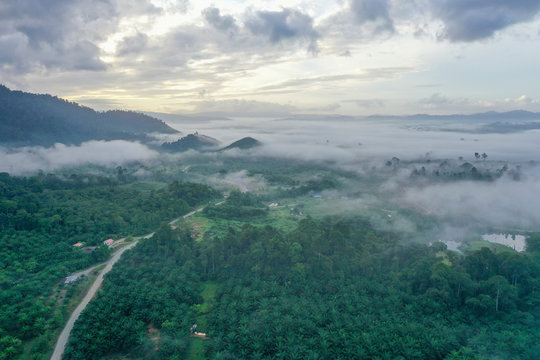 Tongod Images – Browse 35 Stock Photos, Vectors, and Video | Adobe Stock