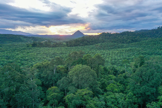 Tongod Images – Browse 35 Stock Photos, Vectors, and Video | Adobe Stock