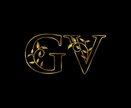 「Gv」の写真素材 | 6,078件の無料イラスト画像 | Adobe Stock