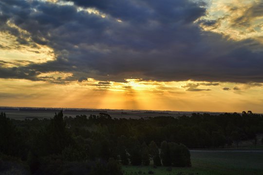 Puan Images – Browse 607 Stock Photos, Vectors, and Video | Adobe Stock