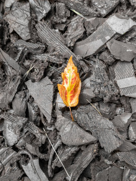 "Monotone Background" Images – Browse 218 Stock Photos, Vectors, and ...