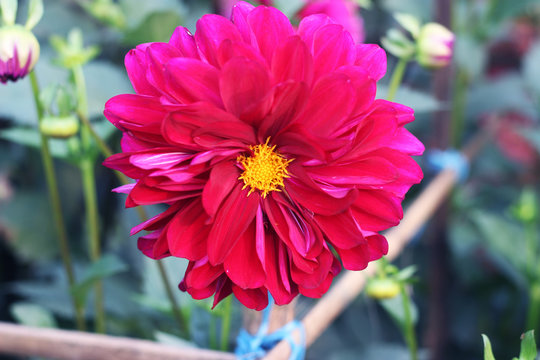 Beautifulness 画像 - 参照 396 Stock 写真、ベクターおよびビデオ | Adobe Stock