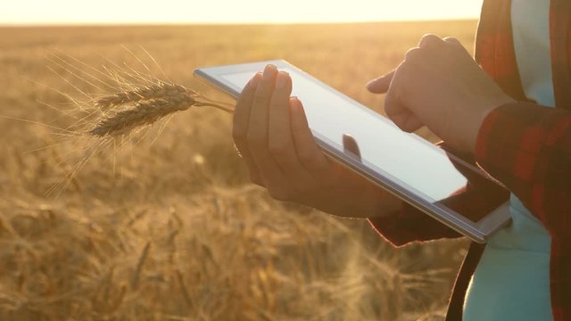 Agronomy Video Footage – Browse 99,968 HD Stock Video and Footage ...