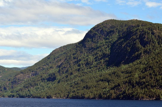 Tinnsja Images – Browse 100 Stock Photos, Vectors, and Video | Adobe Stock