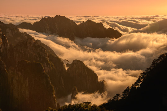 รูปภาพXihai – เลือกดูภาพถ่ายสต็อก เวกเตอร์ และวิดีโอ161 | Adobe Stock