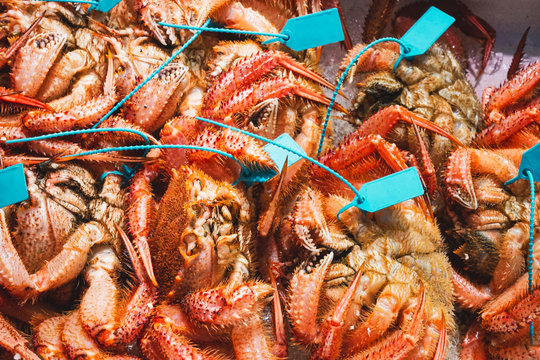 Kegani Images – Browse 50 Stock Photos, Vectors, and Video | Adobe Stock