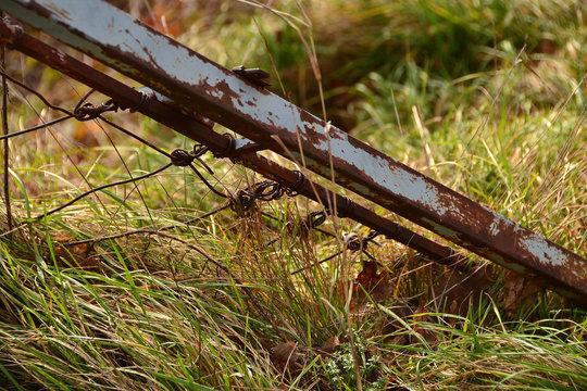 Barbillon-Bilder: Stock-Fotos & -Videos. | Adobe Stock