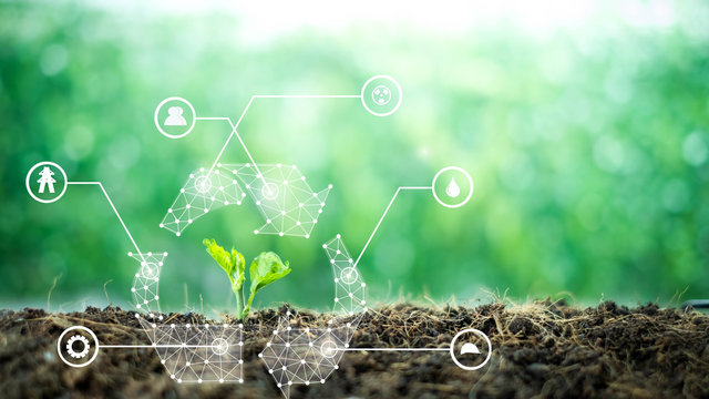 Free Sustainability Images – Browse 1,697 Free Stock Photos, Vectors ...