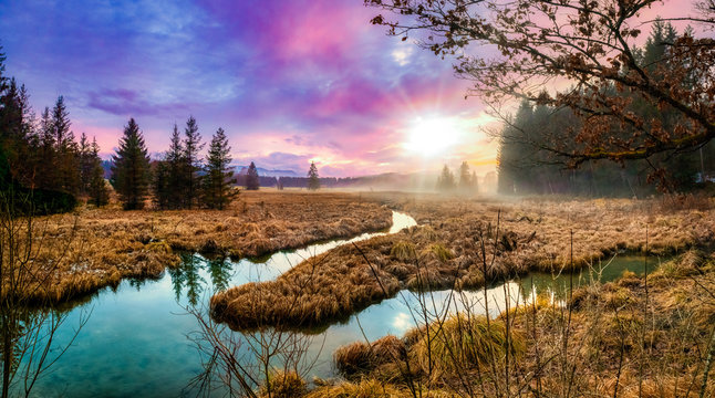 Moor Images – Browse 367,273 Stock Photos, Vectors, and Video | Adobe Stock