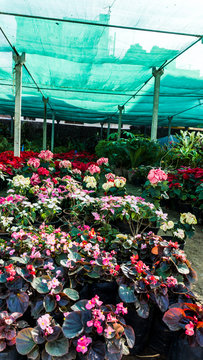 Galgota Images – Browse 41 Stock Photos, Vectors, and Video | Adobe Stock