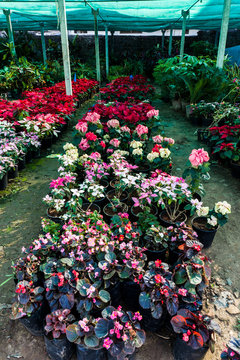 Galgota Images – Browse 41 Stock Photos, Vectors, and Video | Adobe Stock