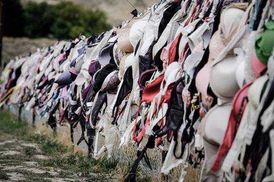 Bustenhalter Bilder – Durchsuchen 362,120 Archivfotos, Vektorgrafiken ...