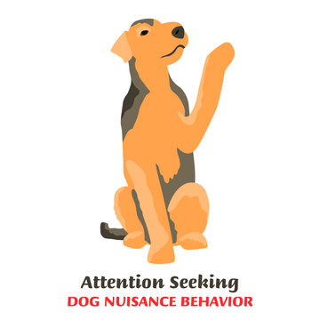 "Attention Seeking" Images – Browse 151 Stock Photos, Vectors, and ...