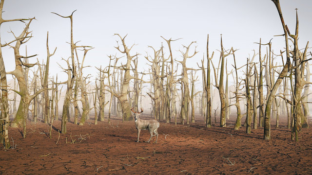 Meagerness Bilder – Durchsuchen 273 Archivfotos, Vektorgrafiken und ...