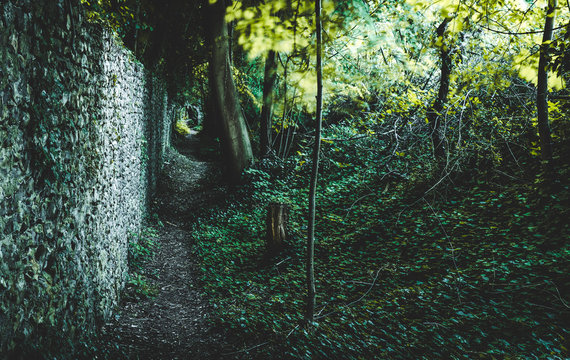 Inquietant bilder – Bläddra bland 29 stockfoton, vektorer och videor ...