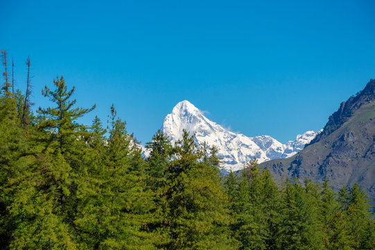 Badri Images – Browse 46 Stock Photos, Vectors, and Video | Adobe Stock