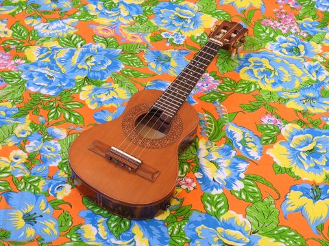 Cavaquinho Images – Browse 390 Stock Photos, Vectors, and Video | Adobe ...