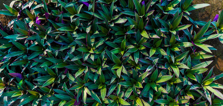 Galgota Images – Browse 41 Stock Photos, Vectors, and Video | Adobe Stock