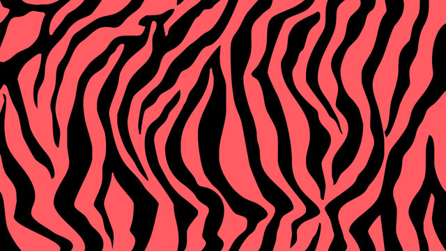 Hot Pink Zebra Stripes Backgrounds