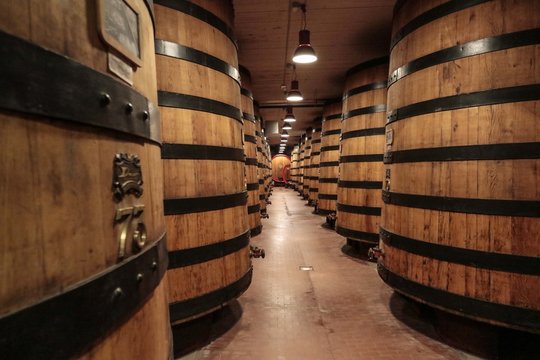 Botti Images – Browse 1,199 Stock Photos, Vectors, and Video | Adobe Stock