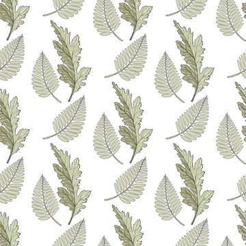 "Chrysanthemum Leaves" Imagens – Procure 49 fotos, vetores e vídeos ...