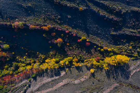 Matute Images – Browse 84 Stock Photos, Vectors, and Video | Adobe Stock