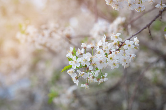 รูปภาพTeeming – เลือกดูภาพถ่ายสต็อก เวกเตอร์ และวิดีโอ2,697 | Adobe Stock