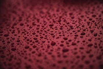 "maroon Background" photos, royalty-free images, graphics, vectors ...