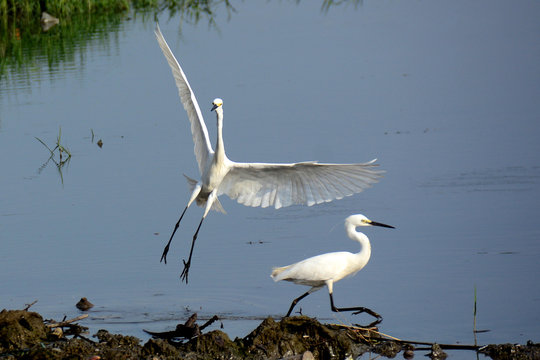 Schnacke Bilder – Durchsuchen 5,696 Archivfotos, Vektorgrafiken und ...