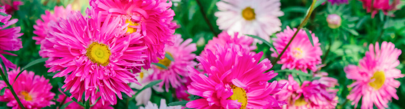 AnnyStudio photos, images, assets | Adobe Stock