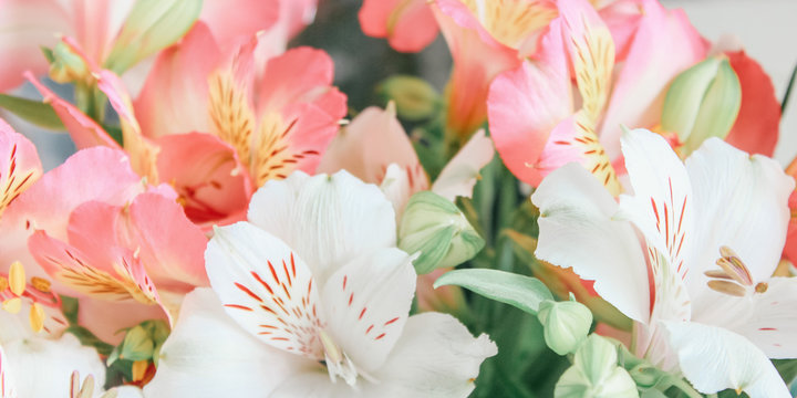 AnnyStudio photos, images, assets | Adobe Stock