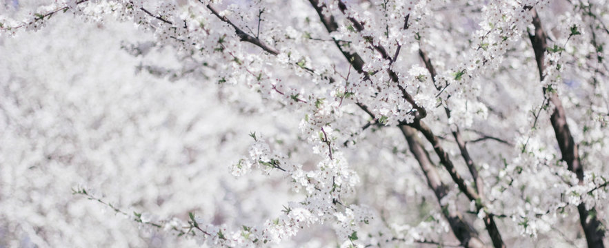 AnnyStudio photos, images, assets | Adobe Stock