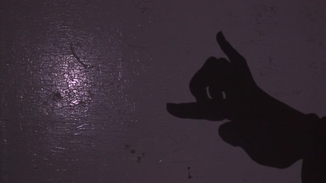 Shadowplay Imagens – Procure 279 fotos, vetores e vídeos | Adobe Stock